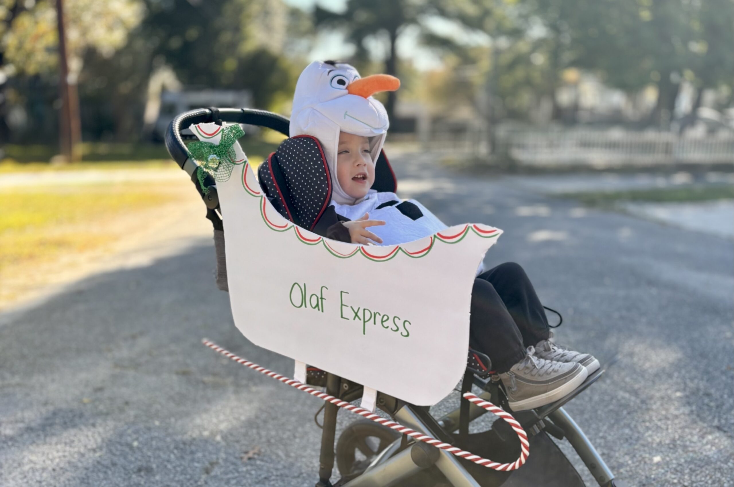 Olaf And His Sled | Hallowheels 2025 Fundraising Campaign By C.A.T.S.